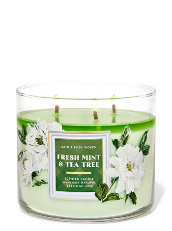 Buy Fresh Mint & Tea Tree 3-Wick Candle Online | Bath & Body Works ...