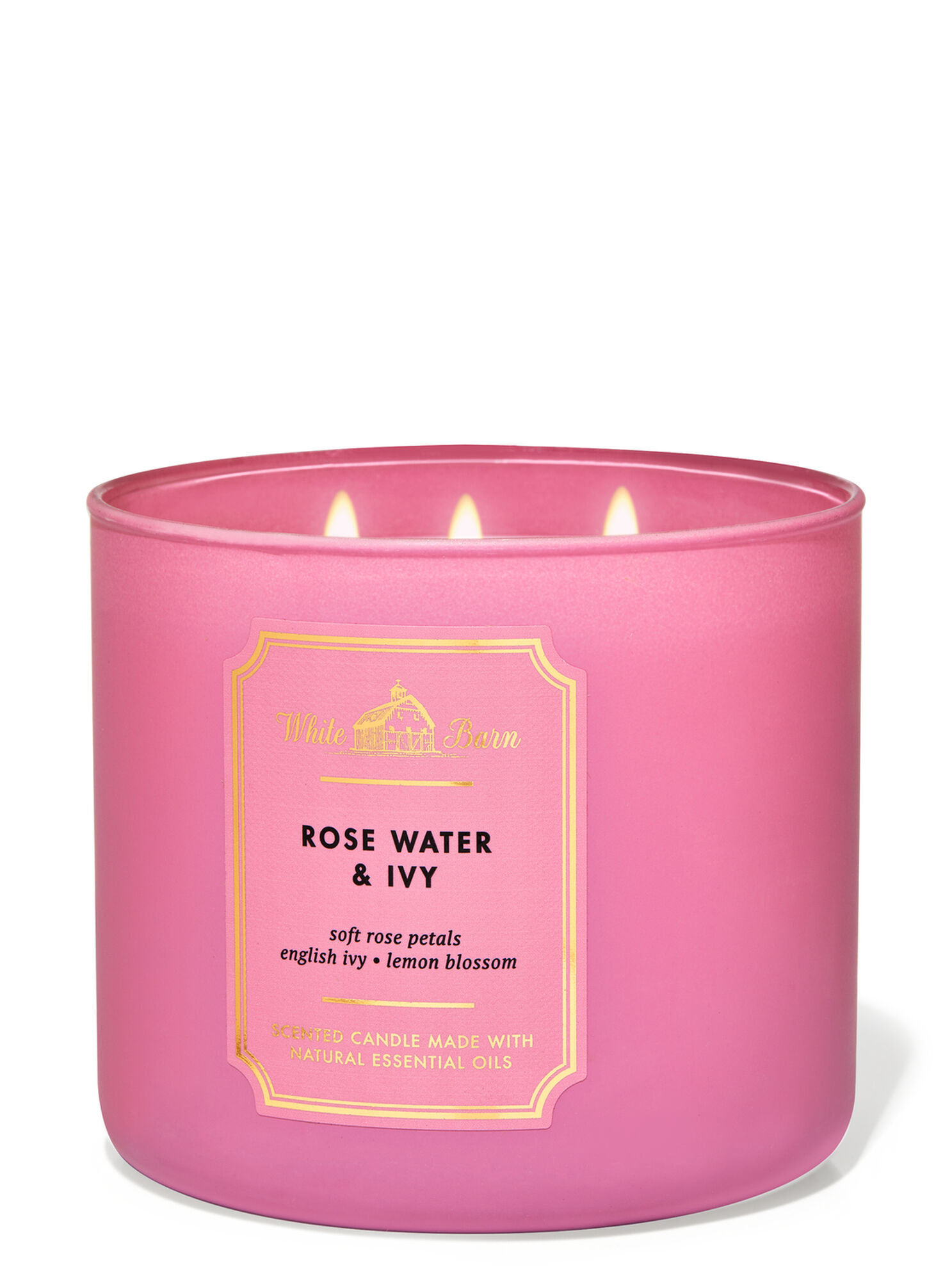 Buy Rose Water & Ivy 3-Wick Candle Online | Bath & Body Works Australia